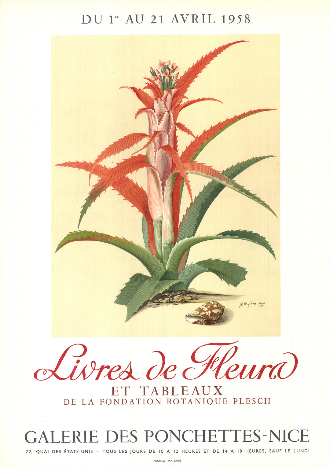 GEORG DIONYSIUS EHRET Flower Books and Paintings from the Plesch Botan ...